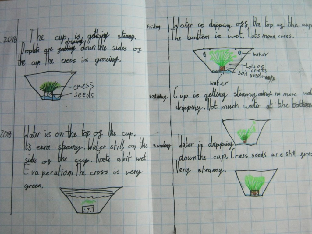 How do you make the Water Cycle in a Cup? - Primrose Hill Primary School